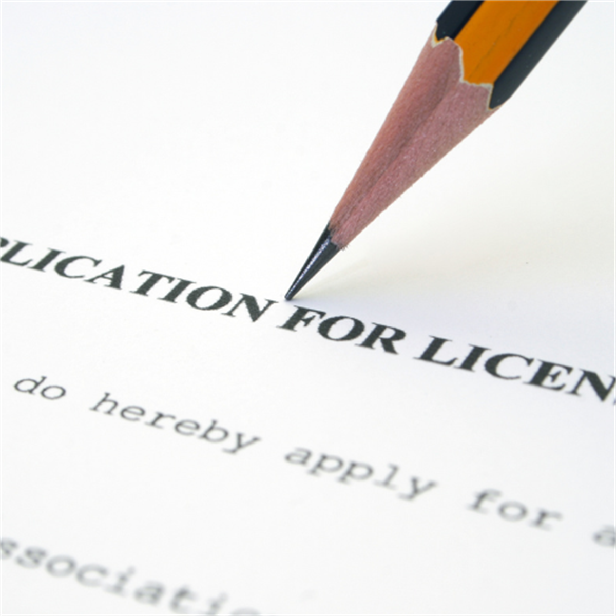 Business License Application - Town of Pendleton, SC